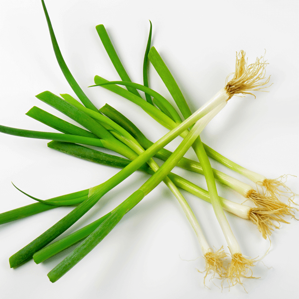 Vin-farm Fruit And Agricultural Products In Vietnam